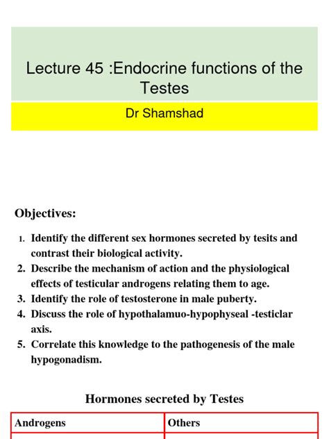 Lecture 45endocrine Functions Of The Testes Dr Shamshad Pdf