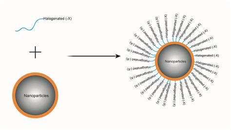 Nanoparticle Surface Functionalization Halogenated X Modification Cd Bioparticles