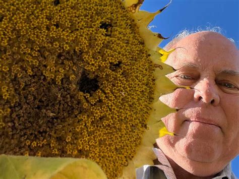 Dr Mark E Homer Hausmann Millworks