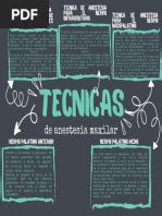 Pirámide De Socransky Y Bacterias Periodontales Pdf Las Bacterias