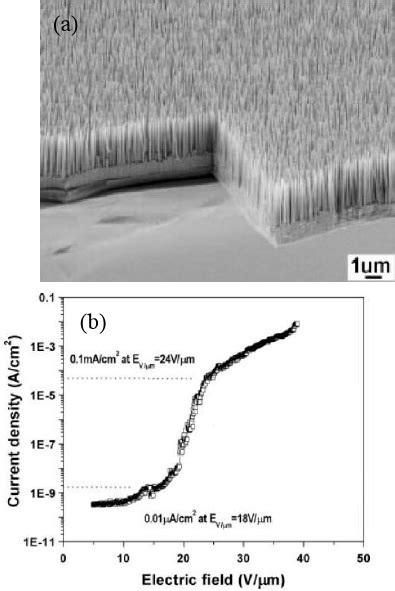 A Vertically Aligned Zno Nanowires On Ga Doped Zno Film B Emission Download Scientific