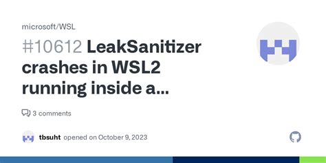 Leaksanitizer Crashes In Wsl2 Running Inside A Container Emulating A Binary Via Qemu For Aarch64