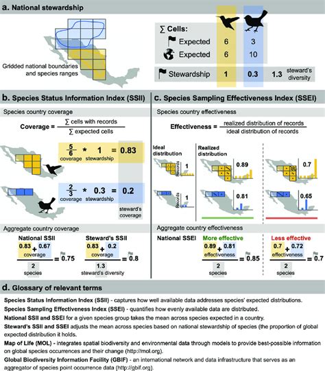 Ssii And Ssei Metrics Of Biodiversity Data Coverage And Effectiveness Download Scientific