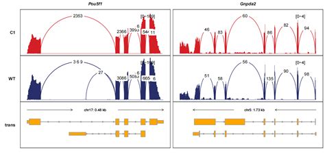 Chapter 8 Splice Junction Visualization Biosequtils Reference