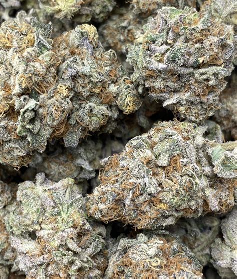 Jelly Donut Exotic Strain Halloween Sale Oc 420 Collection