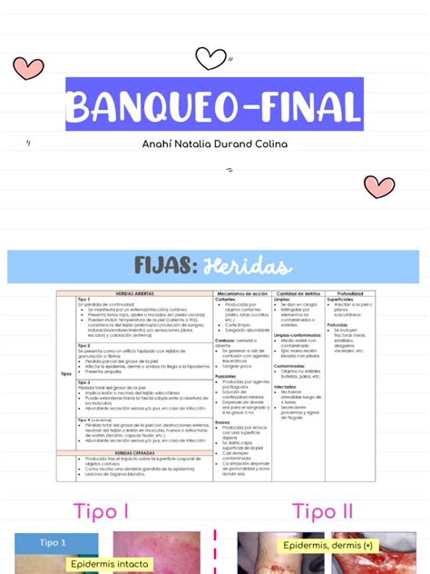 Pbm Repaso Final Pdf Araña Vómitos