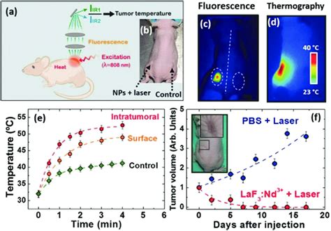 Temperature Controlled Photothermal Therapy In Living Mice With Nd 3