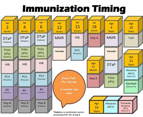 Shortcut Printable Immunization Sheet
