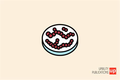 Comprendre Les Streptocoques Éditions Upbility