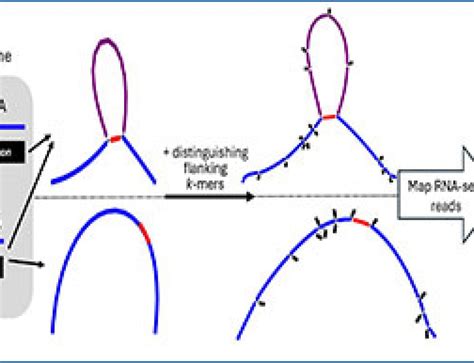 Discrete Distributional Differential Expression D3e A Tool For Gene Expression Analysis Of