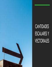 Understanding Scalar and Vector Quantities in Physics Concepts | Course Hero