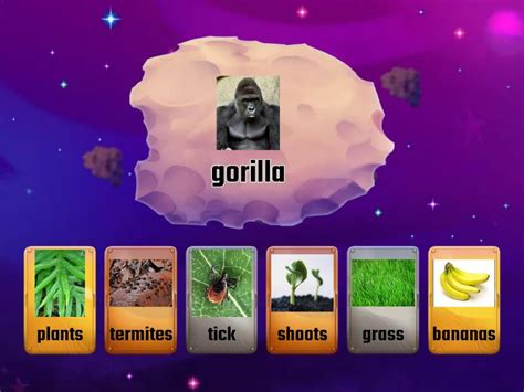 Herbivores Find The Match