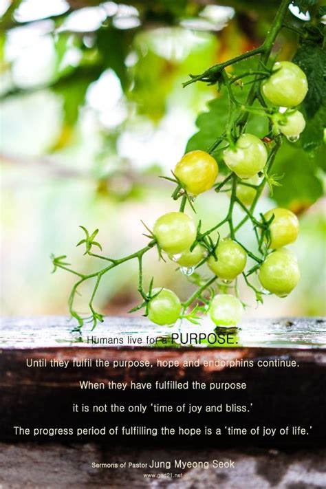 정명석 목사의 한줄멘토인생은 을 두고 살아간다 만남과대화 정명석 목사 기독교복음선교회