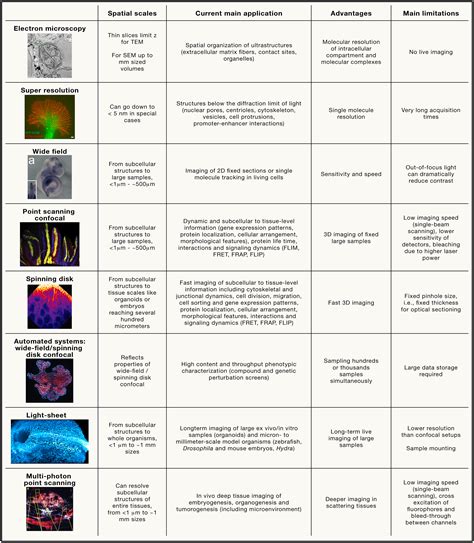Developmental Biology Perspectives And Applications Of Machine