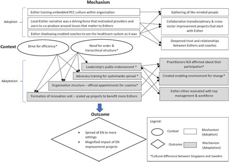 refined programme theory for adoption and adaptation of the esther