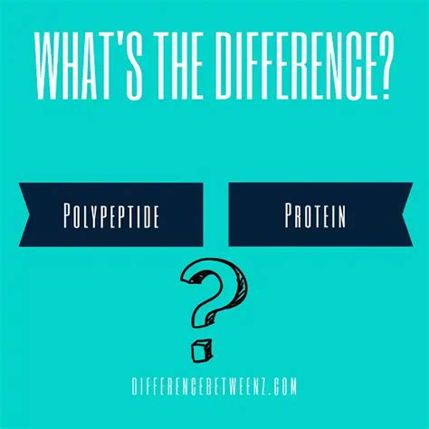Difference Between Polypeptide And Protein Difference Betweenz