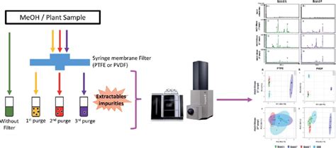 Overall Experimental Workflow Download Scientific Diagram