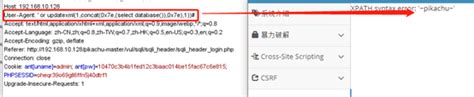 pikachu系列之sql注入（sql inject） sql注入url栏为什么要加注释 csdn博客
