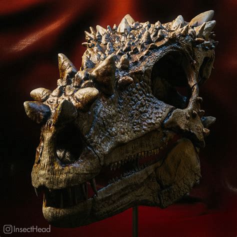 💀 Young Pachycephalosaurus Dracorex Skull・ Stl File For 3d Printing・cults