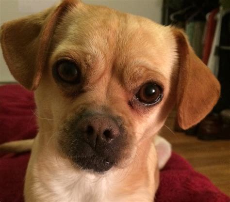 Laura Stembridge Medium