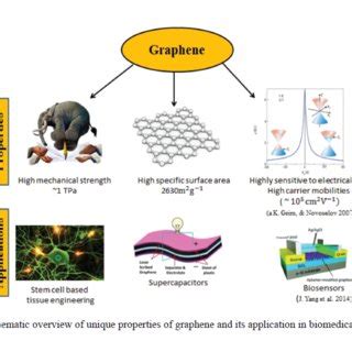 Graphene As The Building Block For Many Other Carbon Allotropes Download Scientific Diagram