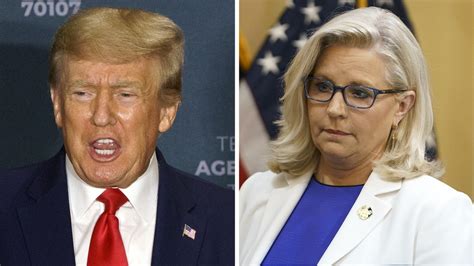 Trump Hits War Hawk Liz Cheney In Pitch To Arab American Voters
