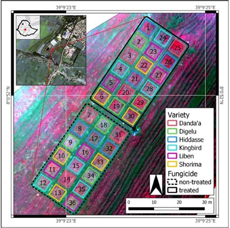Field Trial Experimental Set Up Earth Online