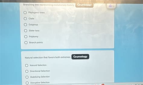 Solved Branching Tree Representing Evolutionary History Coursology Phylogenic Trees Clade