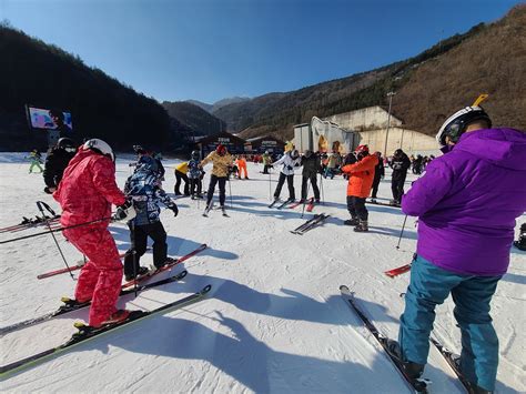 스키장 아르바이트 구합니다 대구광역시 중구 남산동 당근알바