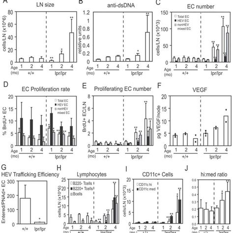 Mrl And Mrl Lprlpr Mice Were Examined At Indicated Ages Brachial