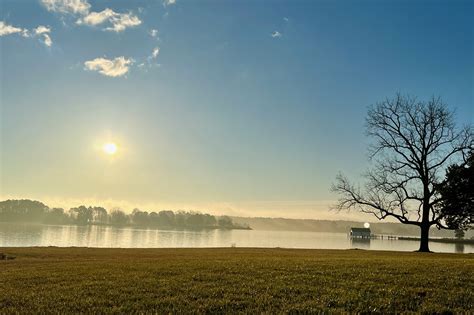 Waiting For Spring Joanne Leedom Ackerman