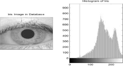 figure 3 from iris recognition based on human interpretable features semantic scholar