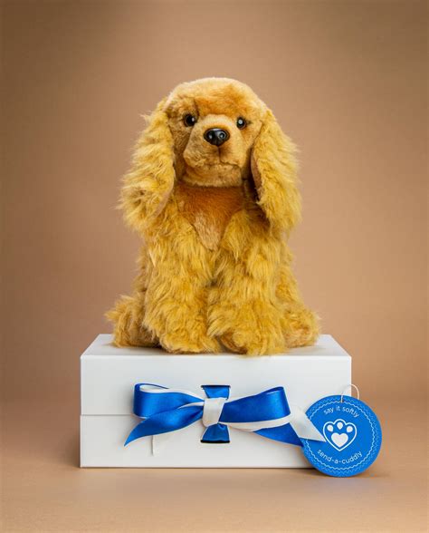Golden Cocker Spaniel Soft Toy Send Today In A T Box