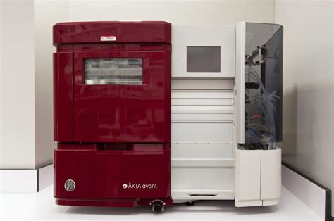 Exploring Genetic Variability Do Dna Viruses Mutate