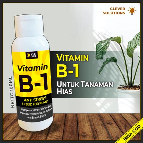 Vitamin B1 untuk Tanaman / Vitamin B1 Anti Stres Tanaman Menjaga Tetap ...