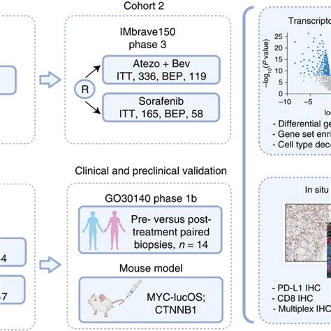 Study Overview The Key Biomarker Analyses Objectives Experimental
