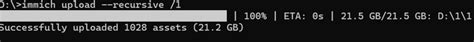 mass uploads via cli seem to miss assets r immich