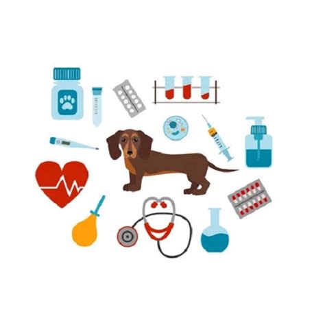Enrofloxacin 100mg Bromhexine 1mg Injection For Veterinary Use Opt