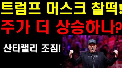 머스크 트럼프 찰떡궁합 둘의 관계가 테슬라주가를 계속 밀어올린다 산타랠리 조짐 자율주행에 대해 머스크의 기대는 테슬라의 비지니스가 꽃이 피는 시기가 가까이 오고 있다