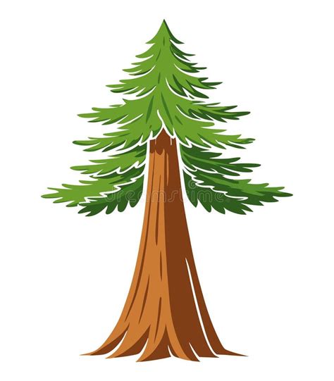 Pine Tree Vector Icon Stock Vector Illustration Of Trunk 346492108