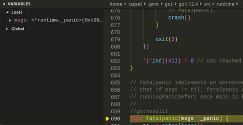 Debugger Local Variables Frozen After Go Panic Issue Microsoft Vscode Go Github