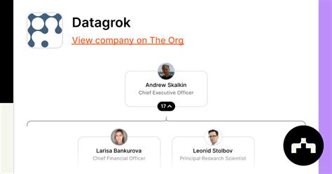 Datagrok The Org