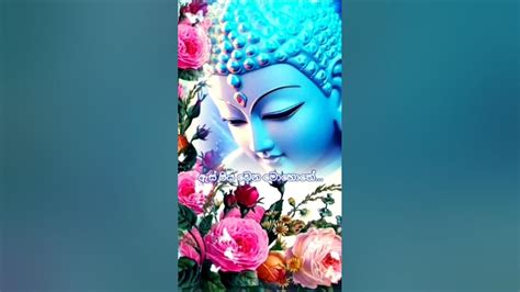 අවසන් වරට මගේ ඇස් පිය වෙන මොහොතේ😣😣බුදු හිමි රුව මට මැවී පෙනේවා🙏🙏🙏 Youtube