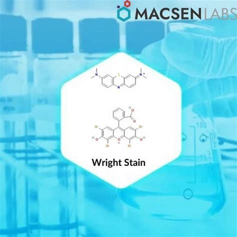 Wright Stain Powder At Best Price In Udaipur By Macsen Laboratories Id 24375343848