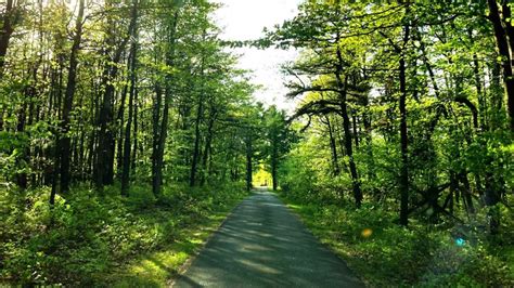 Photolink Library Spring Into Summe