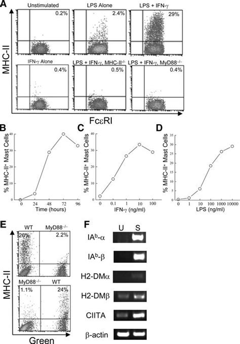 Inducible Mhc Class Ii Expression By Mast Cells Supports Effector And Regulatory T Cell