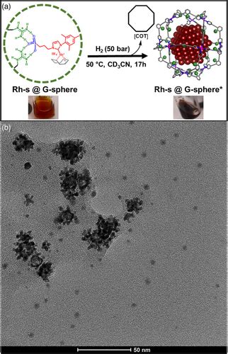 Supramolecular Preorganization Rhodium And Iridium Metal Complexes