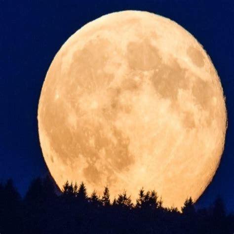 Qué Hay Dentro De La Pirámide De Kukulkán En Chichén Itzá Y Por Qué Cerró Al Público Infobae