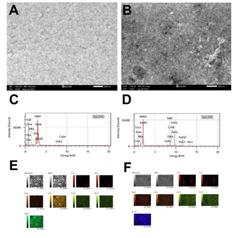 Scanning Electron Microscopy Micrographs A B And Energy Diffraction Download Scientific