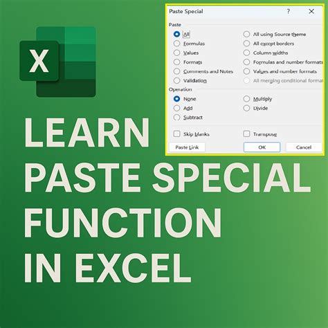 Paste Special Options